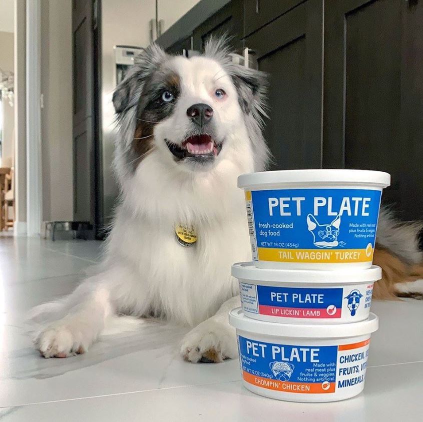 Pet Plate Reviews And Cost 2021 Get Your 60 OFF COUPON Here pet-plate-reviews-and-cost-2021-get-your-60-off-coupon-here